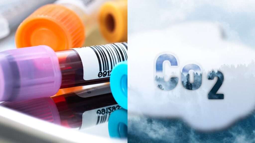 FULL STEPS: How to lower carbon dioxide levels in your blood 2025